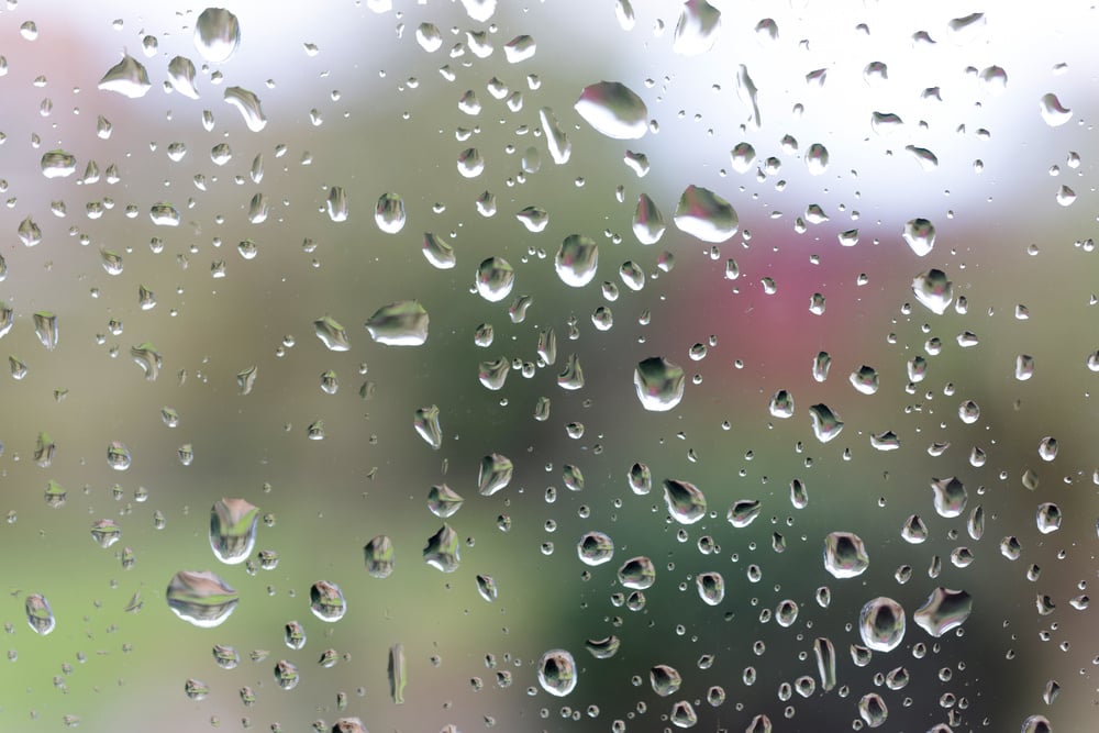 Understanding and Preventing Residential Window Condensation